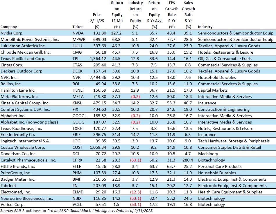 Using Return on Equity to Screen for Profitable Stocks | AAII