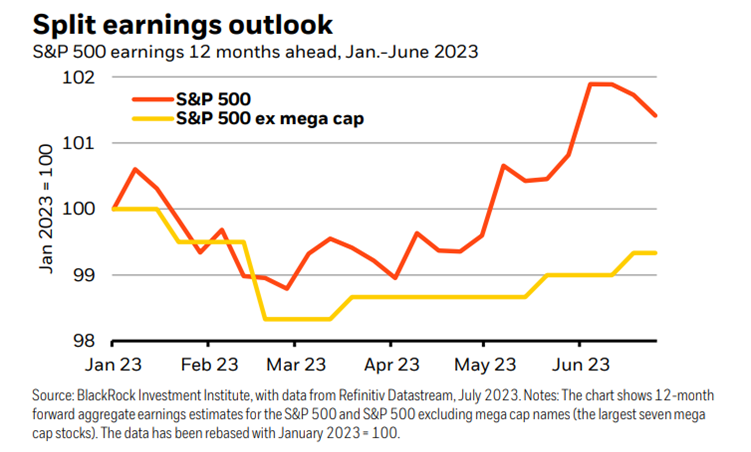 July Charts of Interest: The Magnificent Seven | AAII