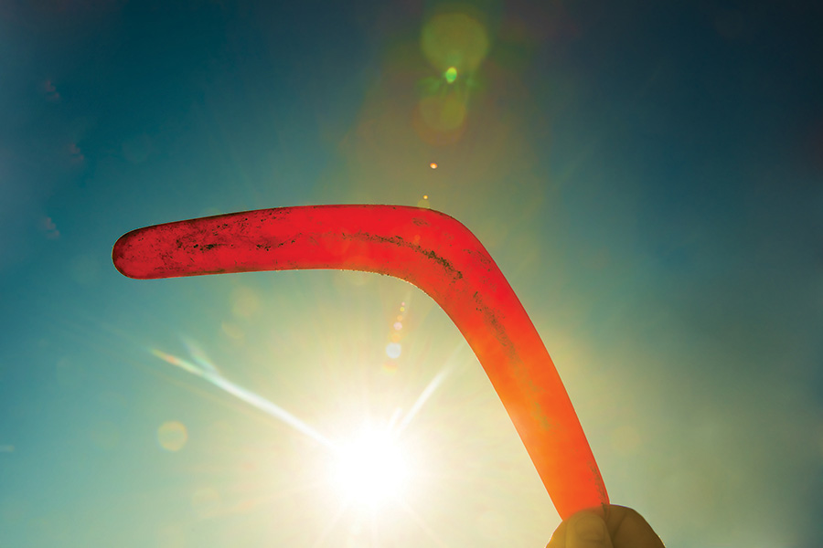 2023 Review of AAII Stock Screens: Outperforming a Narrow Market | AAII