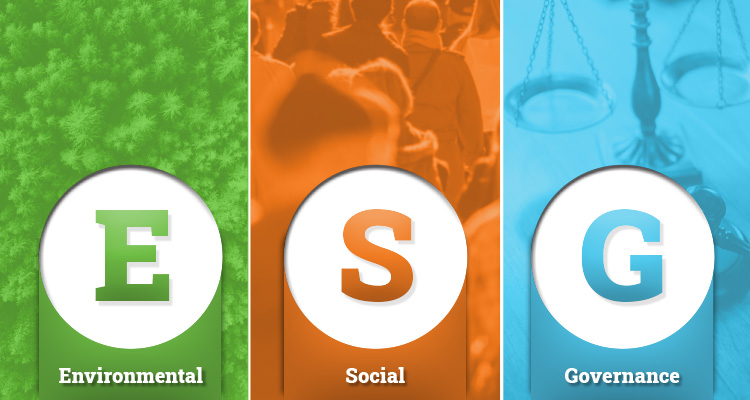 Addressing the Challenges ESG Investors Face | AAII