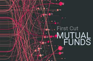 The Best- and Worst-Performing No-Load Mutual Funds | AAII