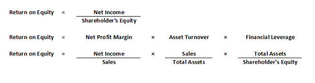AAII Stock Ideas: High Return on Equity Approach | AAII