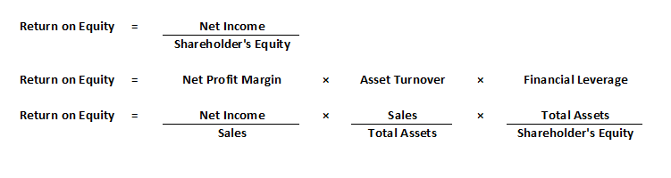 AAII Stock Ideas: High Return on Equity Approach | AAII