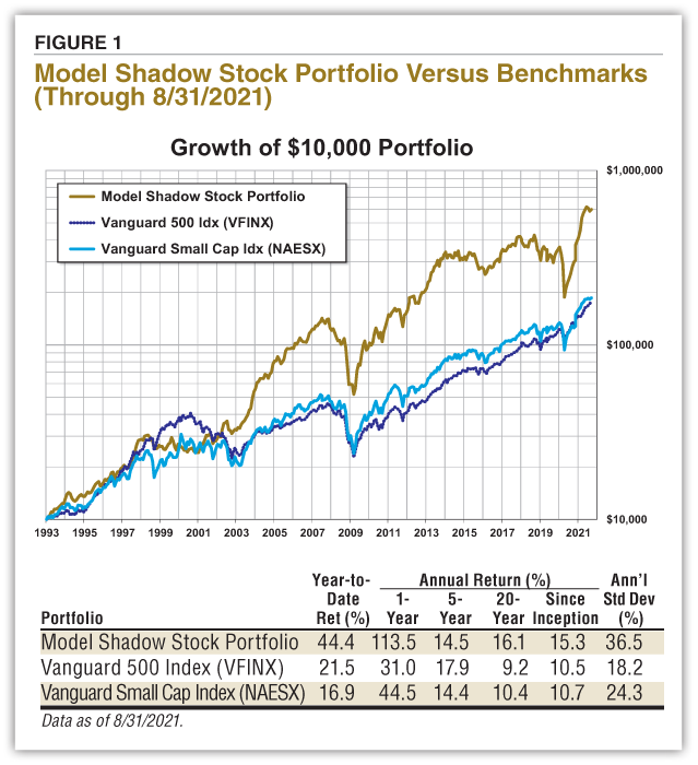 Model Shadow Stock Portfolio Reflects Small-Cap Value Dominance | AAII
