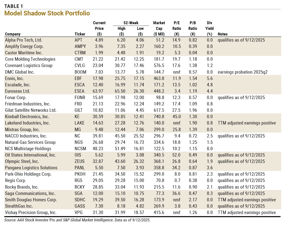 Steady Going: No Changes to Model Shadow Stock Portfolio | AAII
