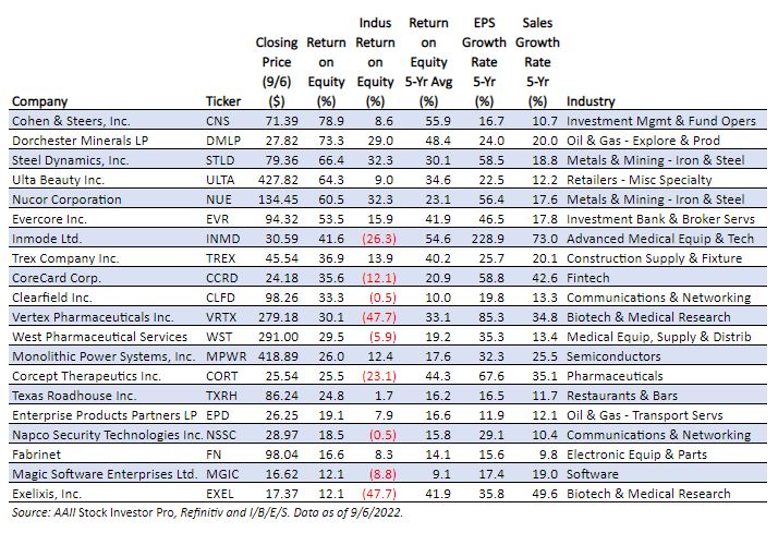 The Return on Equity Approach | AAII